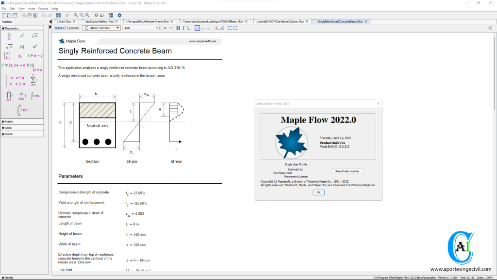 Maplesoft Maple Flow 2022.1
